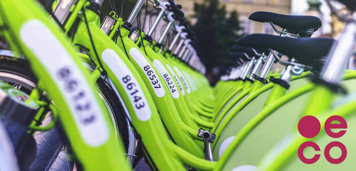 Securing your .eco domain