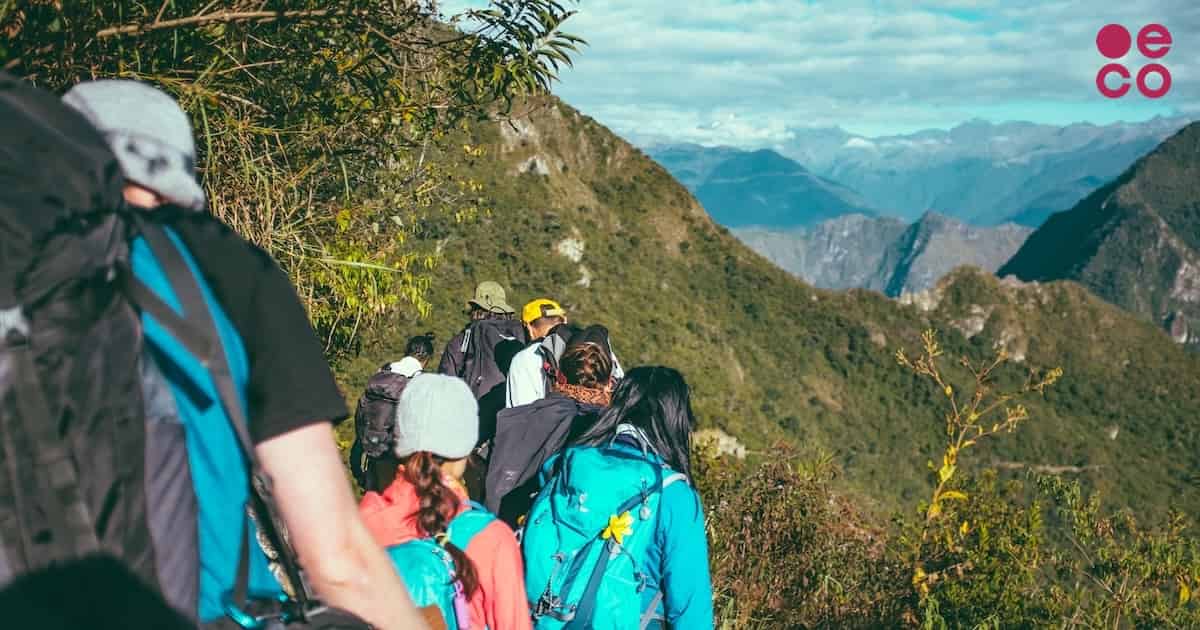 Climate reporting for .eco domains